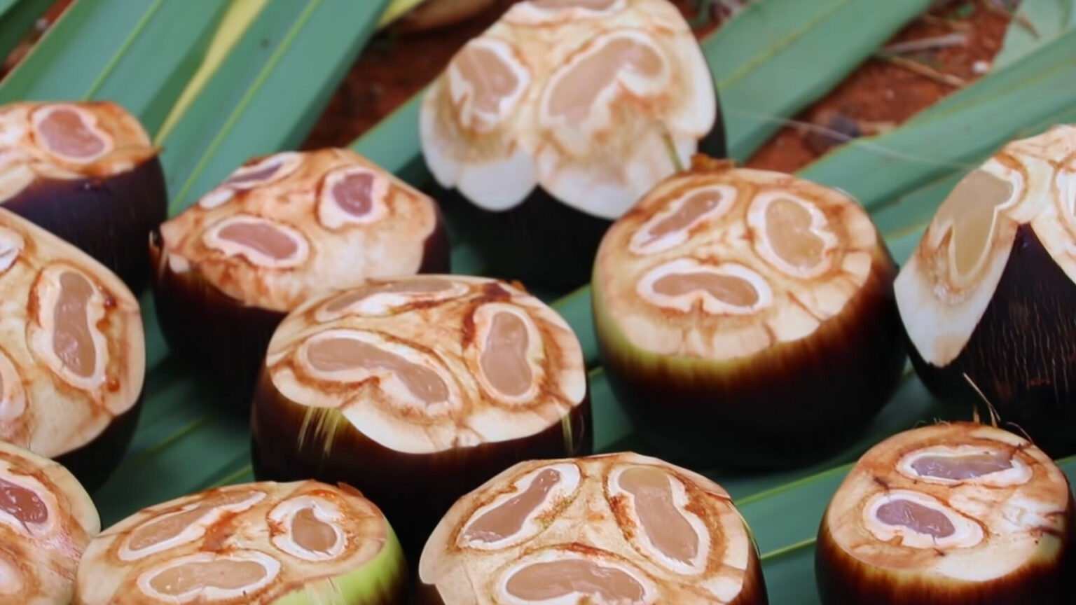 Fruit That Starts With N | Fruits Name