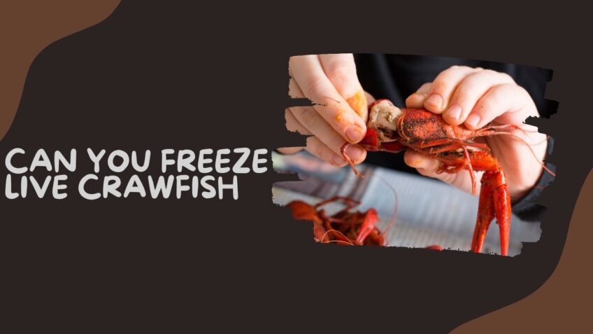 Can You Freeze Live Crawfish - Guides How To Freeze