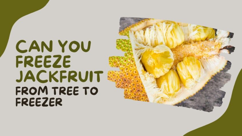 Can You freeze jackfruit - From Tree to Freezer