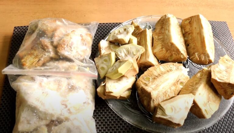 Can You freeze jackfruit - From Tree to Freezer