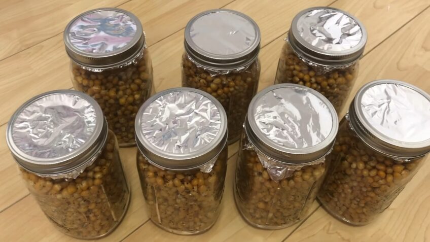 The Best Way to Store Popcorn - Ultimate Guide 2024 - Fischer Institute