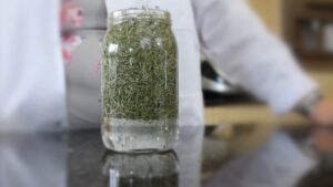 Can You Get a Pedicure if You Have Toenail Fungus? How to Avoid Them