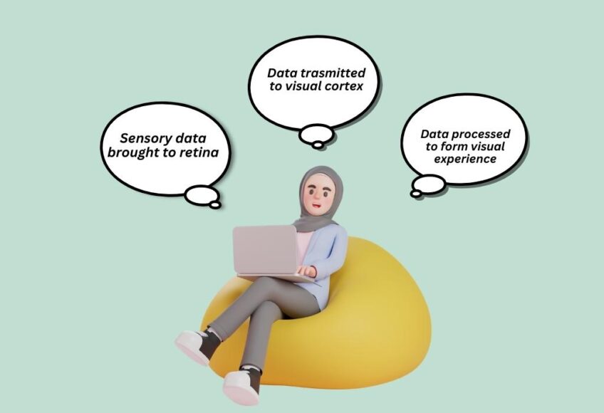 What’s the Difference Between Top-Down and Bottom-Up Processing