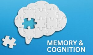 What’s the Difference Between Top-Down and Bottom-Up Processing