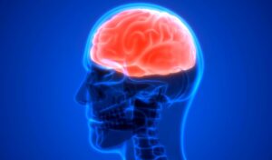 What’s the Difference Between Top-Down and Bottom-Up Processing