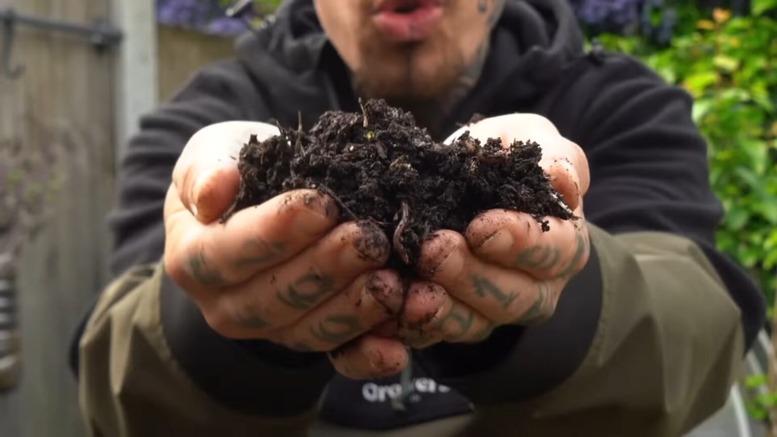 Can Chia Seeds Go Bad? -Shelf Life and Storage Tips - Fischer Institute